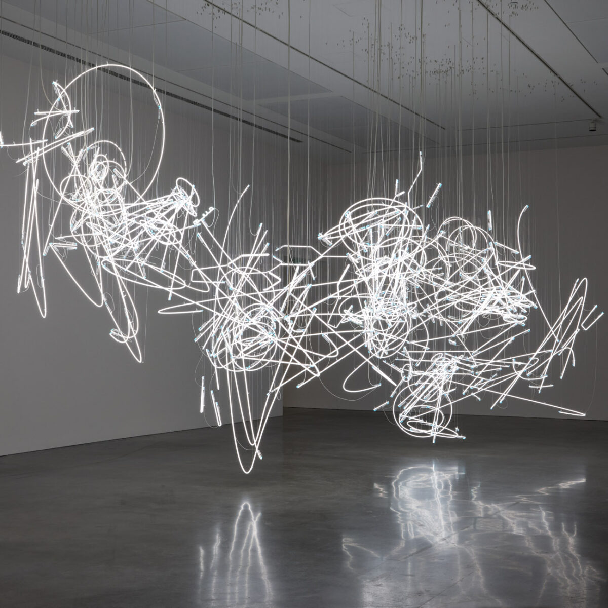 WINTER MENU – A CELEBRATION OF AUSTRALIAN PRODUCE | Cafe Sydney